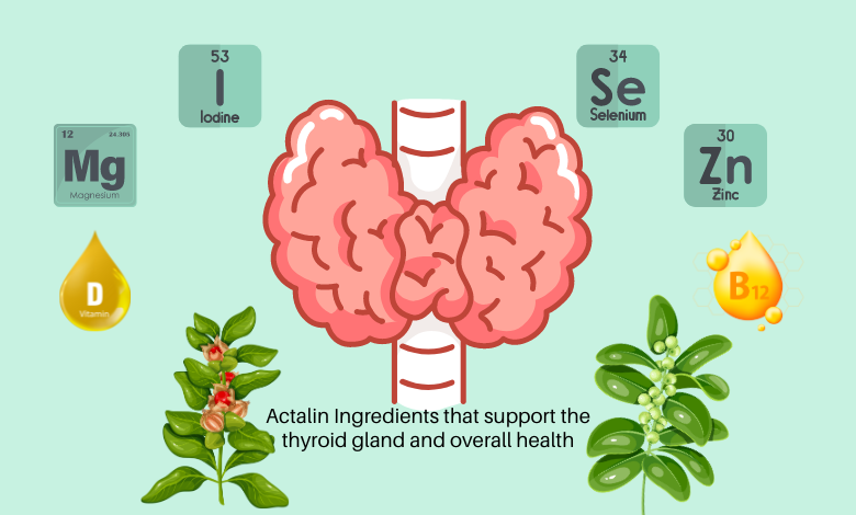 Actalin Uncovered: Natural Thyroid Support Supplement Review